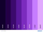 Paleta de cores Roxo: +35 opções para decorações de lojas | ARQUITER