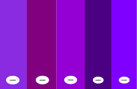 Paleta de cores Roxo: +35 opções para decorações de lojas | ARQUITER